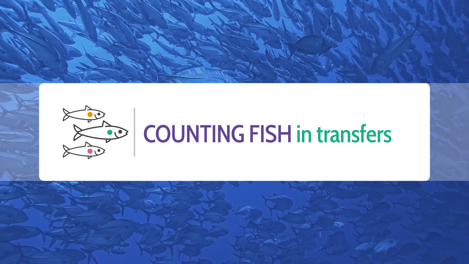 KARMENstudio - COUNTING FISH during transfers - KARMENstudio