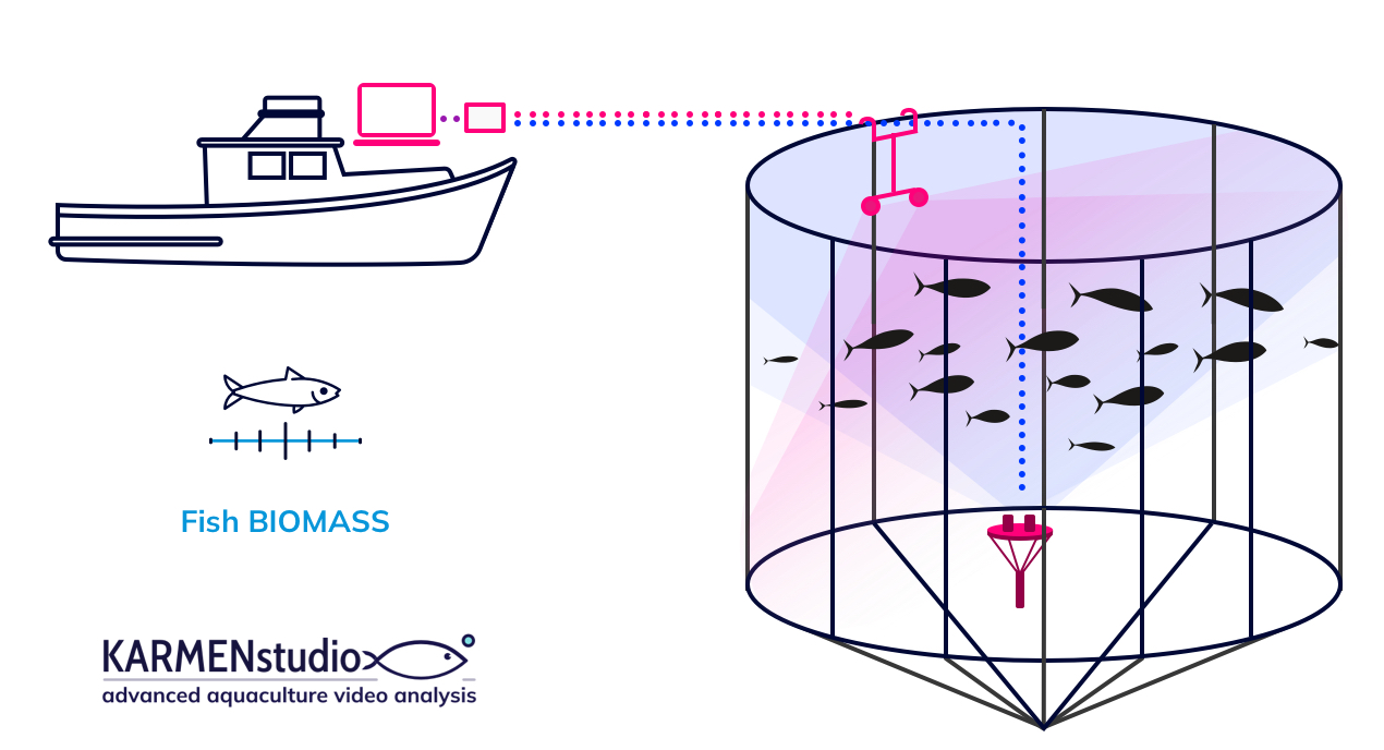 KARMENstudio - Fish BIOMASS - KARMENstudio